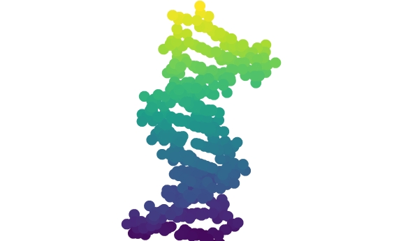 Pythonとplotlyでdnaの立体図（pdb）をブラウザ上で表示する Odndo 